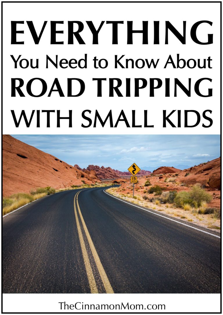 Everything You Need to Know About Road Tripping with a Baby and a Toddler